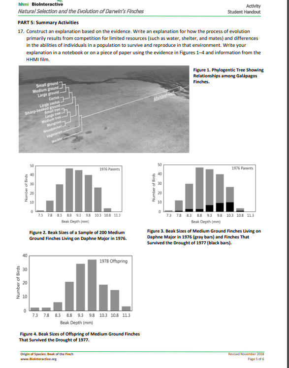 Solved 17. ﻿Construct an explanation based on the evidence. | Chegg.com