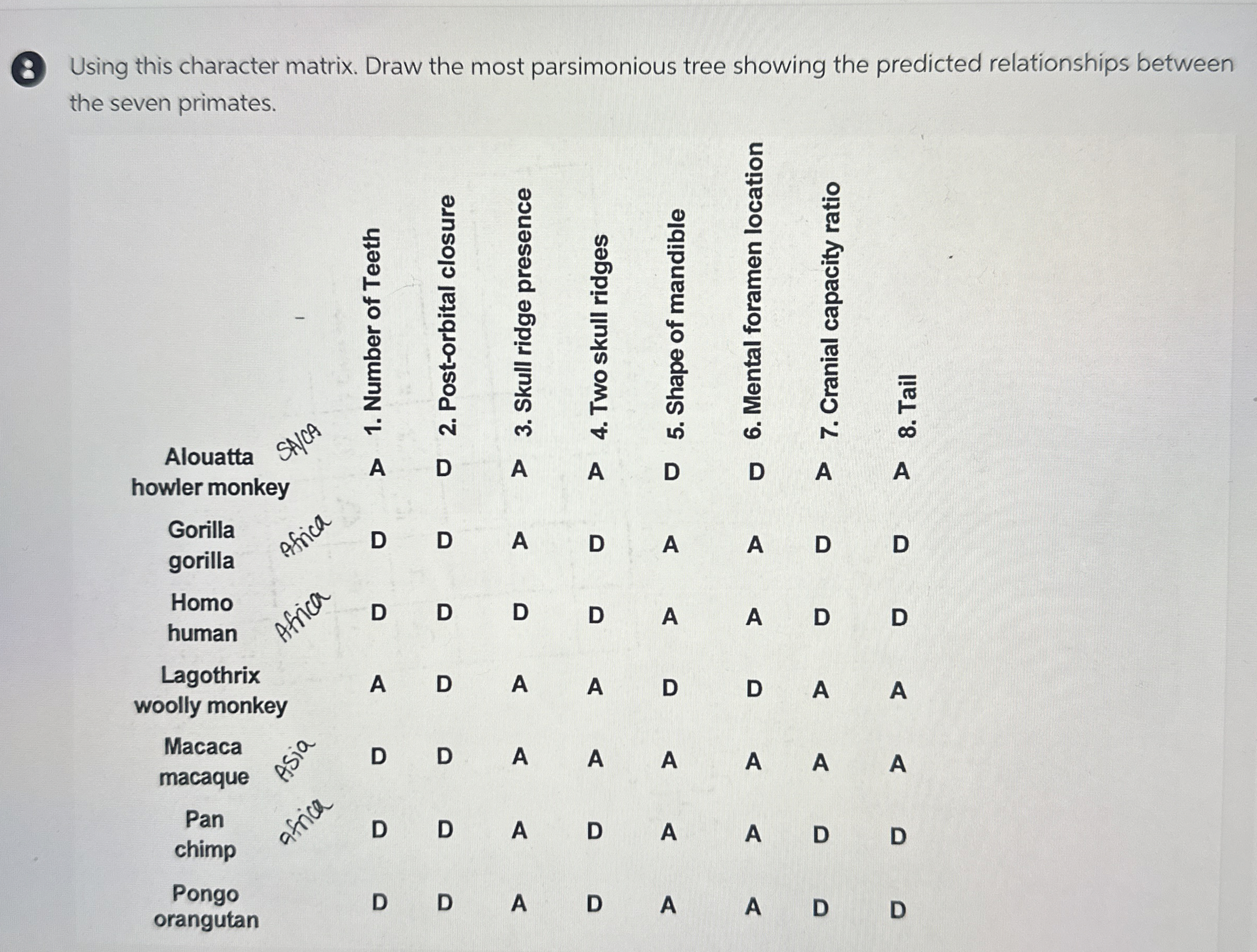 Solved 8 ﻿Using this character matrix. Draw the most | Chegg.com
