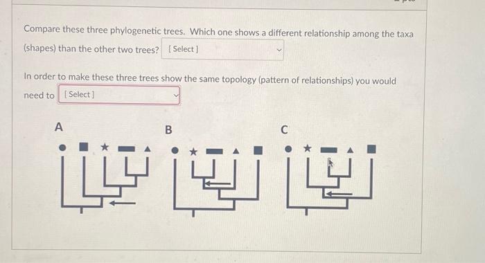Solved Compare these three phylogenetic trees. Which one | Chegg.com