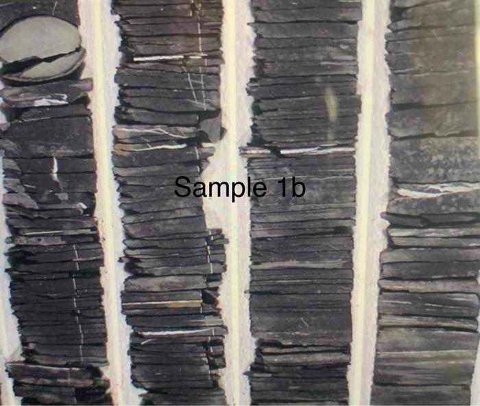 Solved using the sedimentary structures provided in the lab | Chegg.com