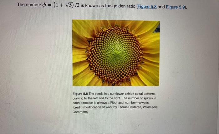 Solved Fibonacci Numbers The Fibonacci Numbers Are Defined