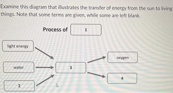Solved Examine this diagram that illustrates the transfer of | Chegg.com