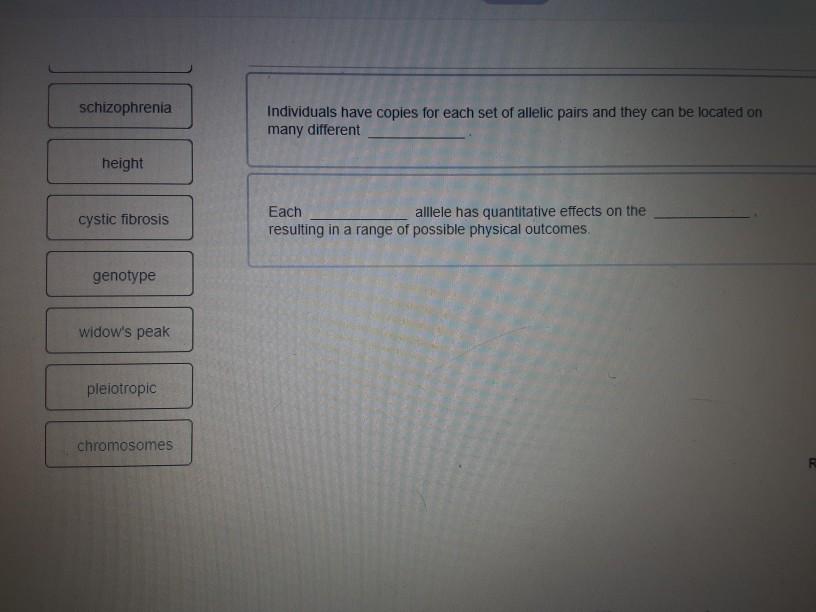 Solved complete the following paragraph to describe the | Chegg.com