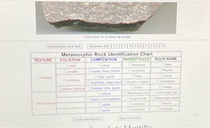 Solved Metamorphic Rocks Sample Minerals Present Texture | Chegg.com