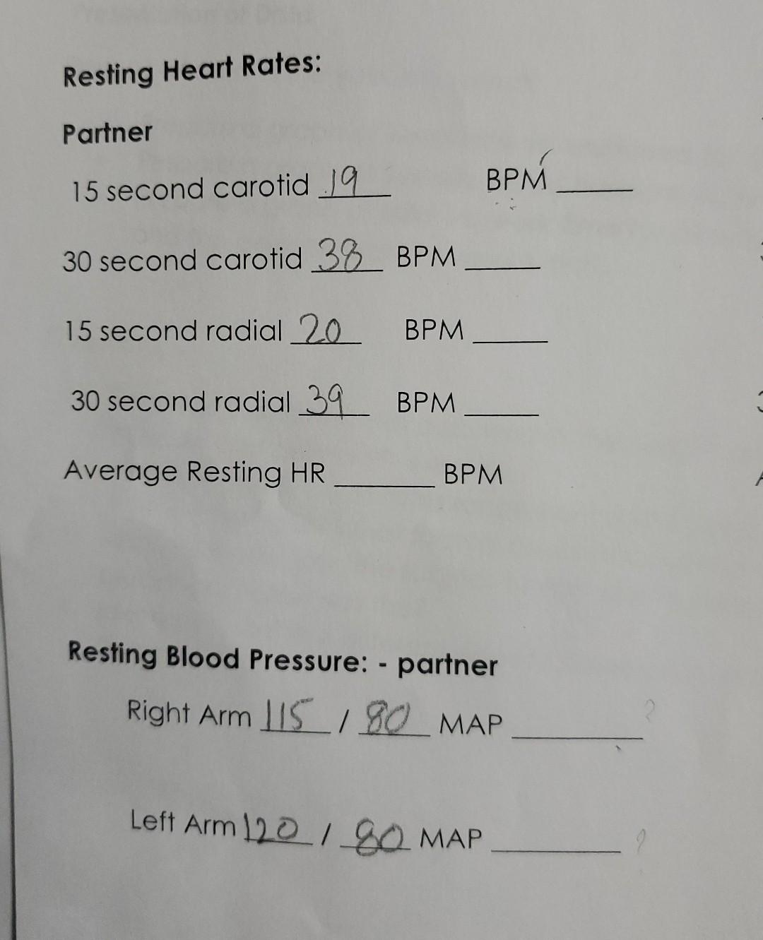 Solved Resting Heart Rates: Partner 15 second carotid 19 BPM | Chegg.com