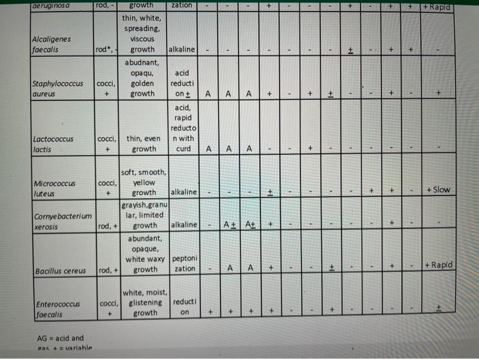 Week 14 - Unknown Project Practice BIO209-001: Intro | Chegg.com