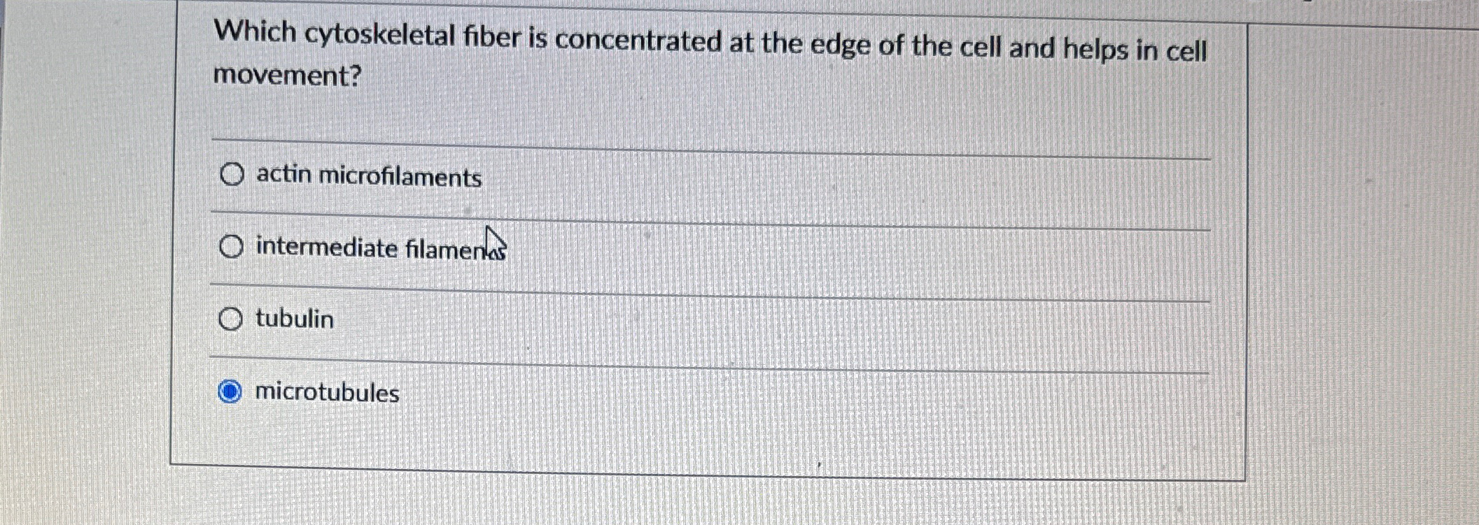 Solved Which cytoskeletal fiber is concentrated at the edge | Chegg.com