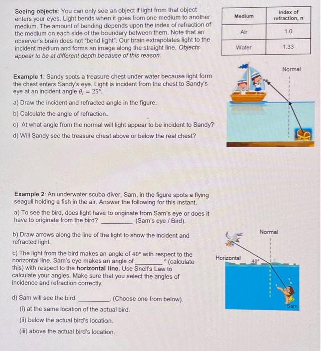 Solved Seeing objects: You can only see an object if light | Chegg.com