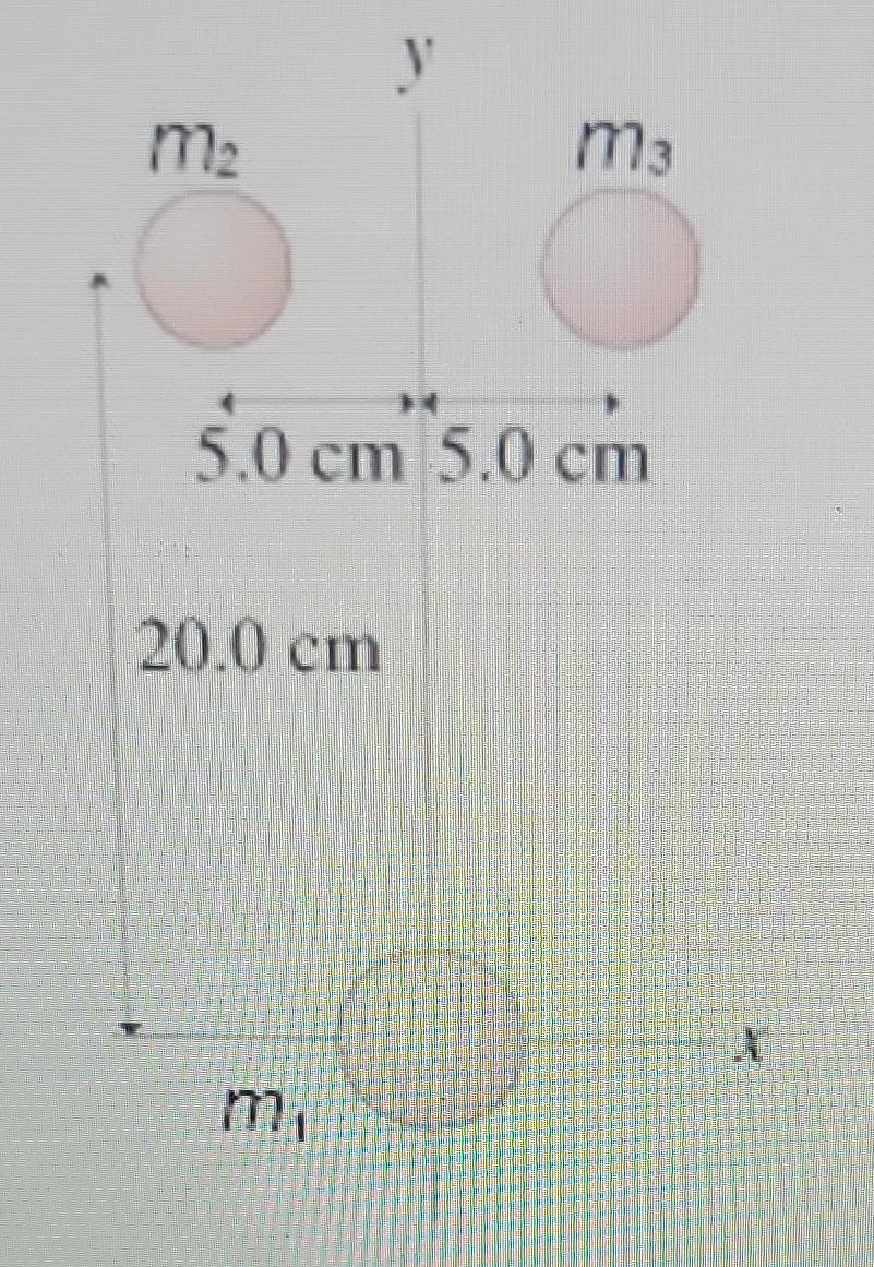 Solved In take m2=m3=10 kg. What is the net gravitational | Chegg.com