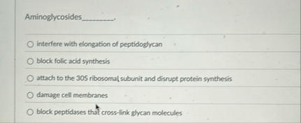 Solved Aminoglycosides. ﻿interfere with elongation of | Chegg.com