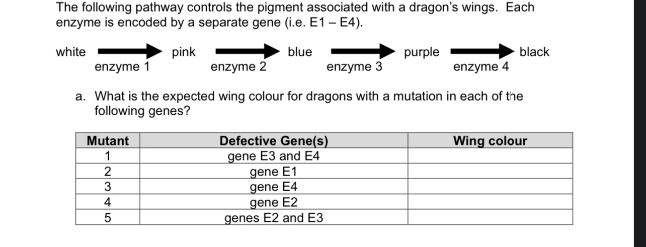 Solved The following pathway controls the pigment associated | Chegg.com