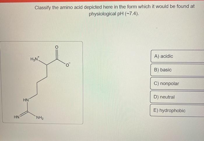 Solved Classify the amino acid depicted here in the form | Chegg.com