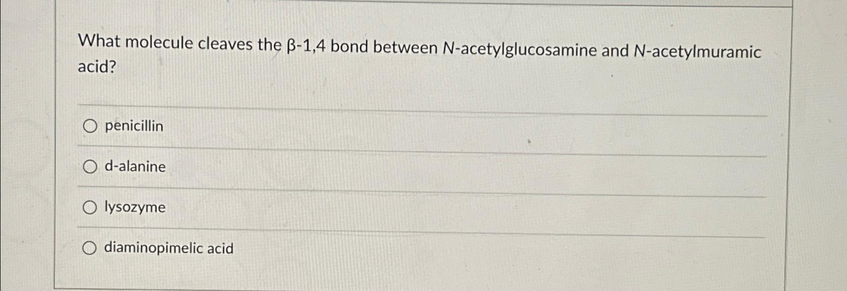 Solved What molecule cleaves the β-1,4 ﻿bond between | Chegg.com