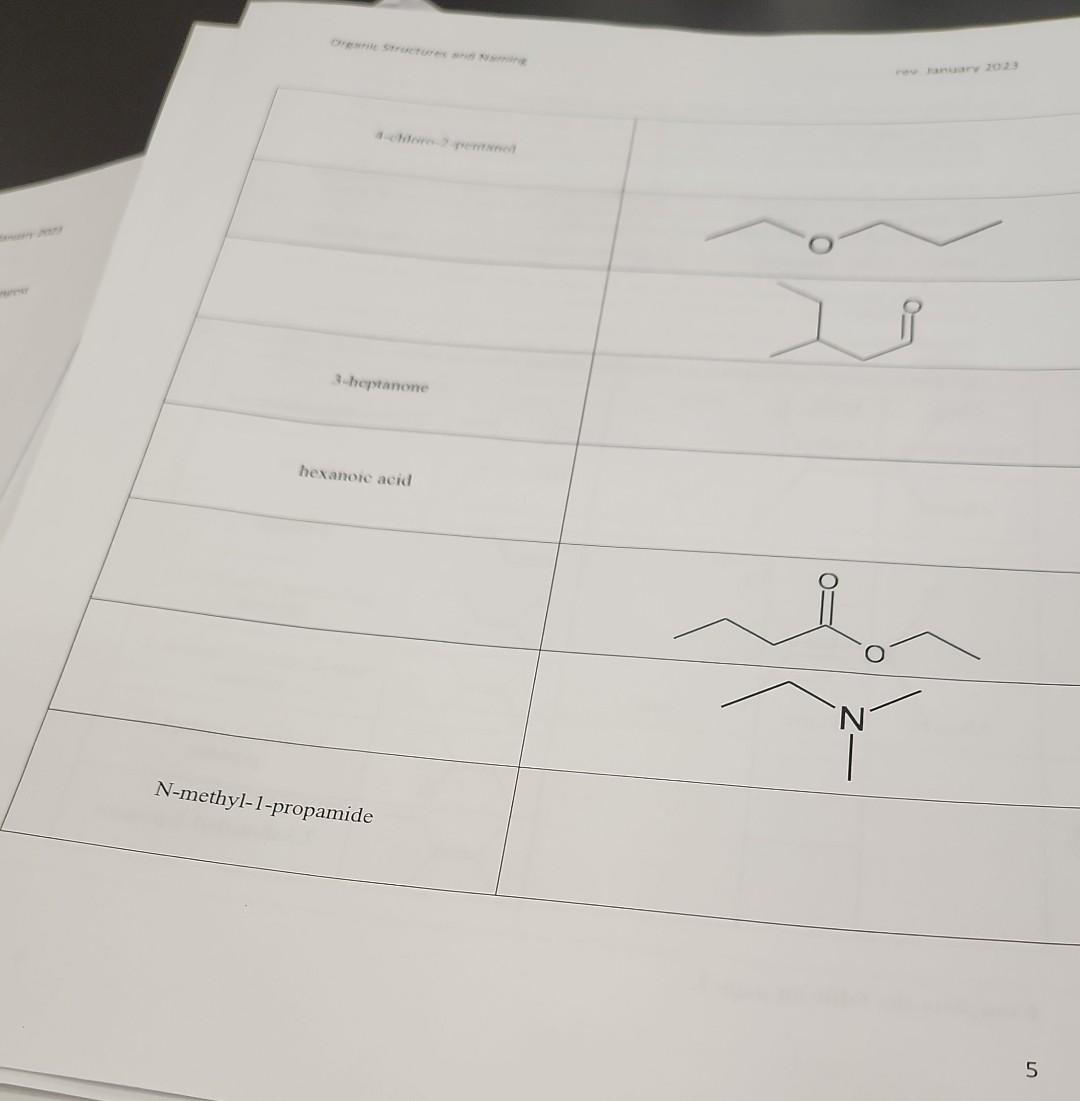 Solved N-methyl-1-propamide 5 | Chegg.com