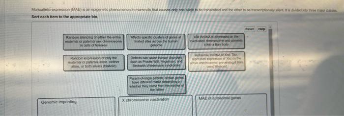 Sort each item to the appropriate bin: | Chegg.com