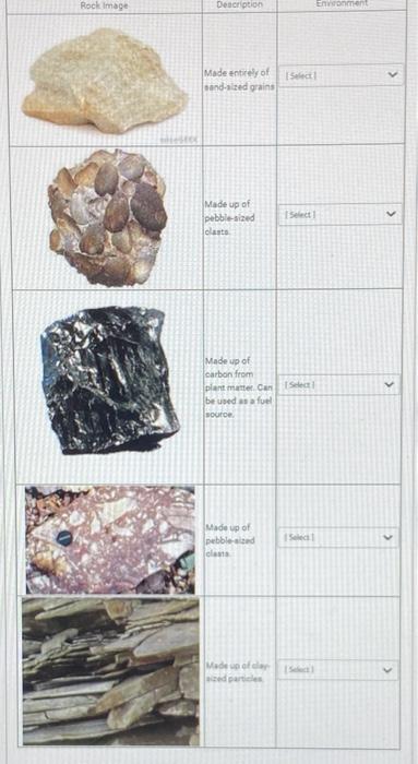 Solved Ch 7. Matching sedimentary rocks to their | Chegg.com