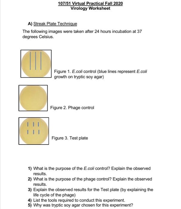 Solved 107151 Virtual Practical Fall 2020 Virology Worksheet | Chegg.com