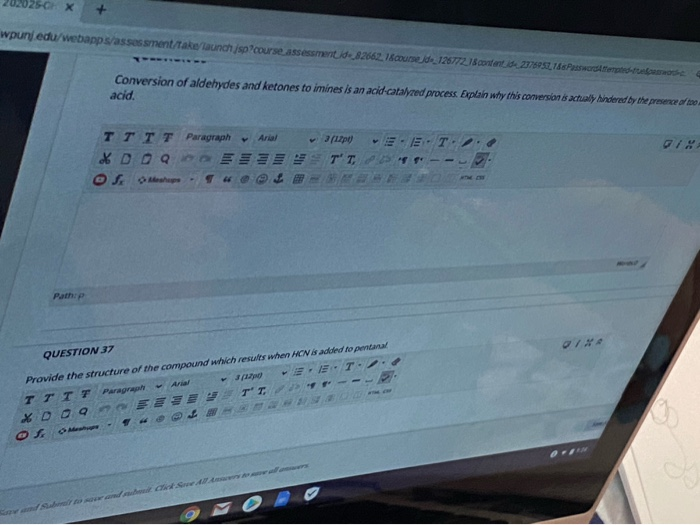 Solved 250 X wpuni.edu/webapps/assessment/Take/launch | Chegg.com