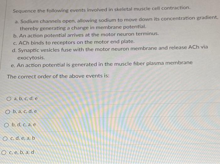 Solved Sequence the following events involved in skeletal | Chegg.com