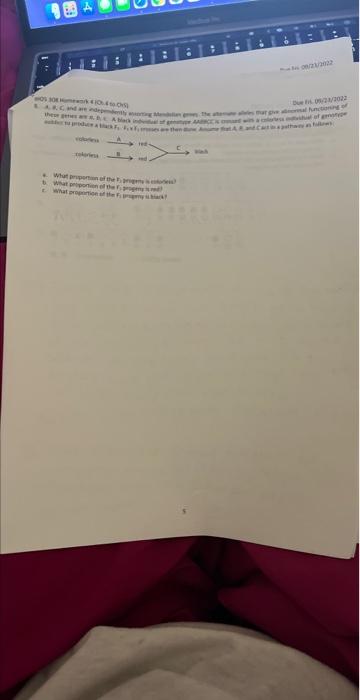 Solved Di: | Chegg.com