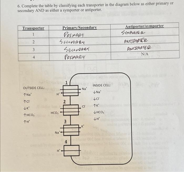 Solved 6. Complete the table by classifying each transporter | Chegg.com