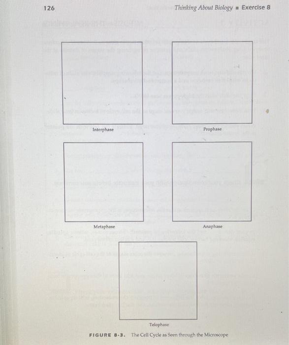 Solved FigurE 8-3. The Cell Cycle as Seen through the | Chegg.com