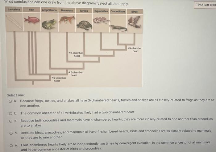Solved what conclusions can one draw from the above diagram? | Chegg.com