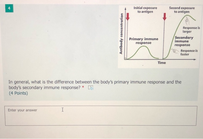 Solved Initial exposure to antigen Second exposure to | Chegg.com