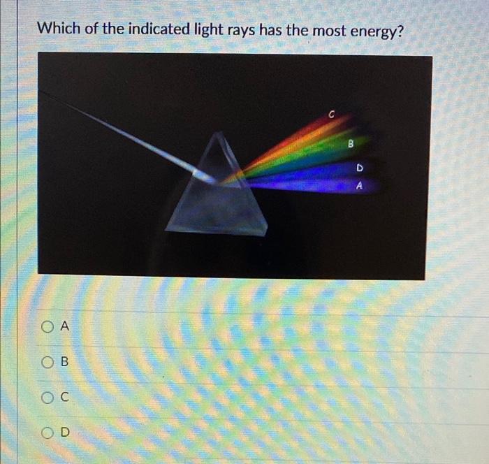 Solved During the leaf disc photosynthesis exercise, why did | Chegg.com