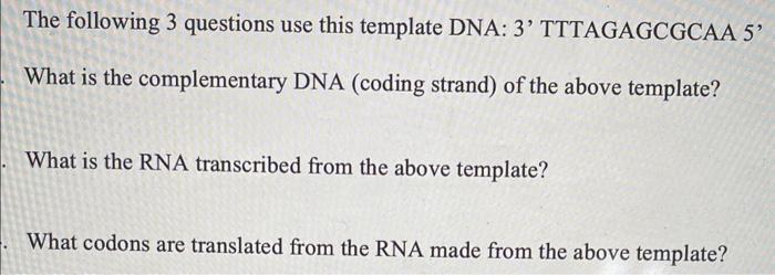 Solved The following 3 questions use this template DNA: 3 ' | Chegg.com