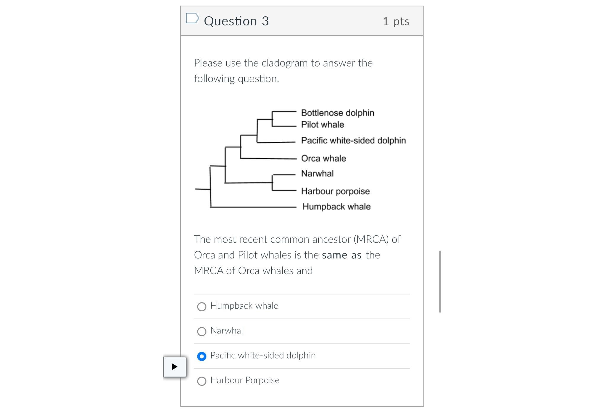 Solved Question 31 ﻿ptsPlease use the cladogram to answer | Chegg.com