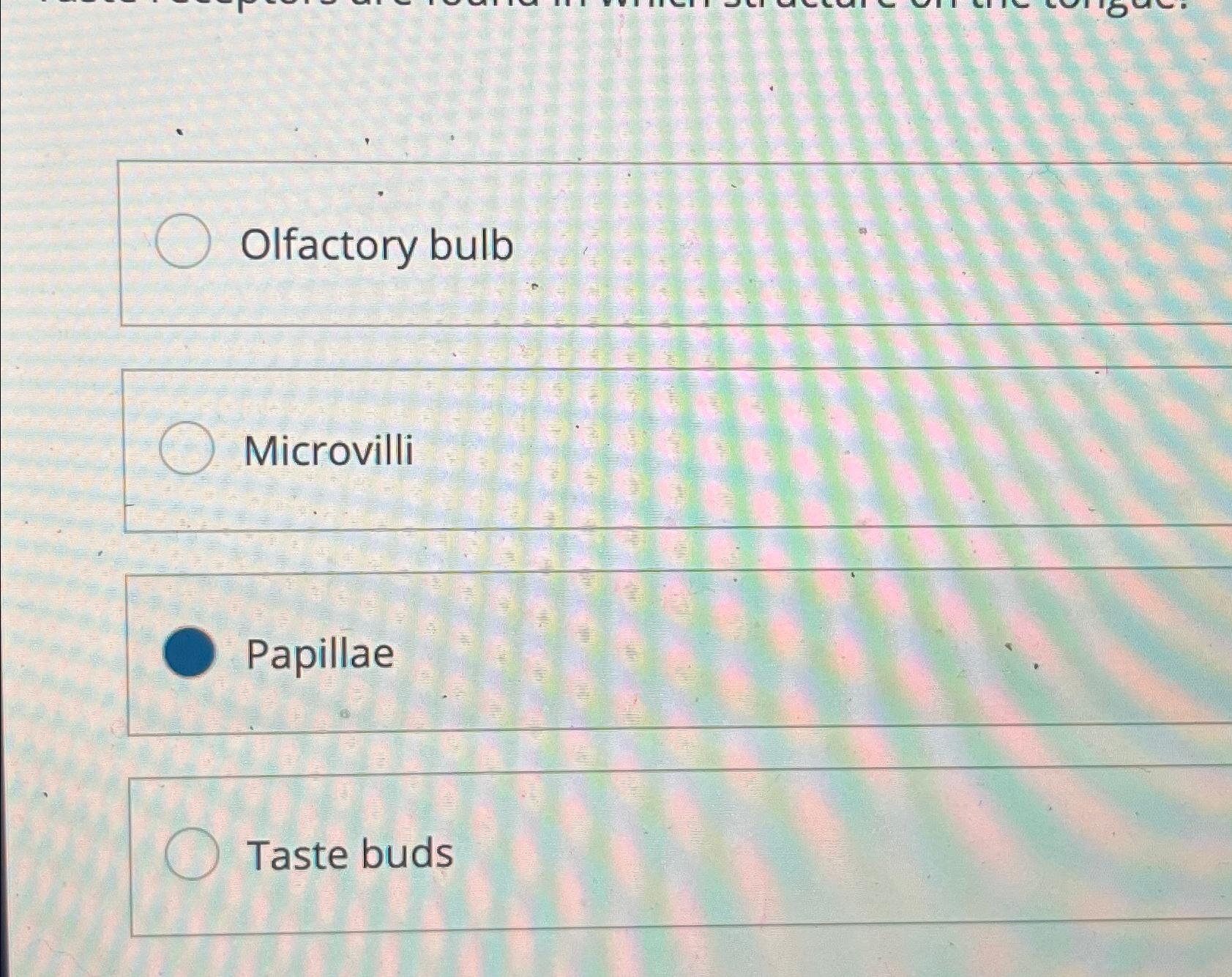 Solved Olfactory bulbMicrovilliPapillaeTaste buds | Chegg.com