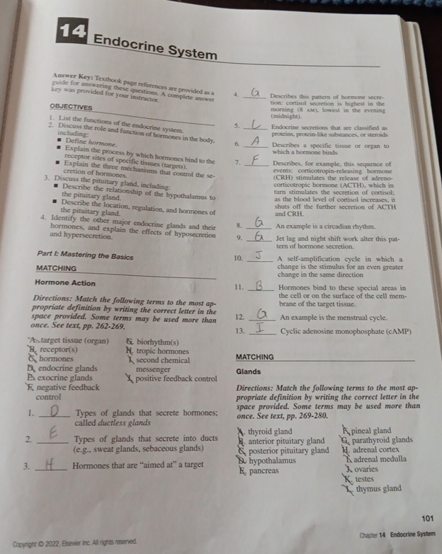 Solved 414 ﻿Endocrine SystemAnswer Key: | Chegg.com