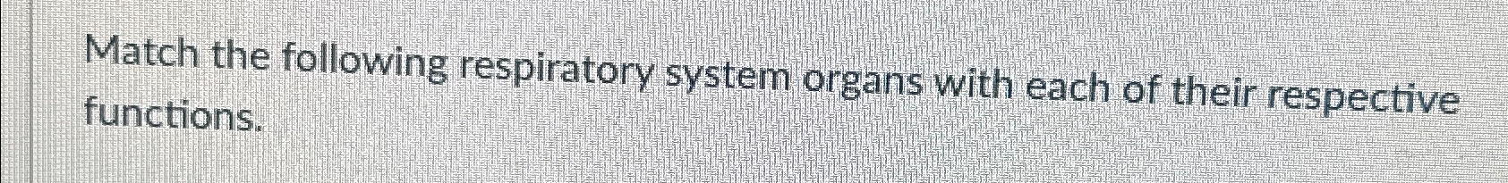 Solved Match the following respiratory system organs with | Chegg.com