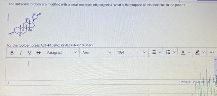 Solved The antisense probes are modified with a small | Chegg.com