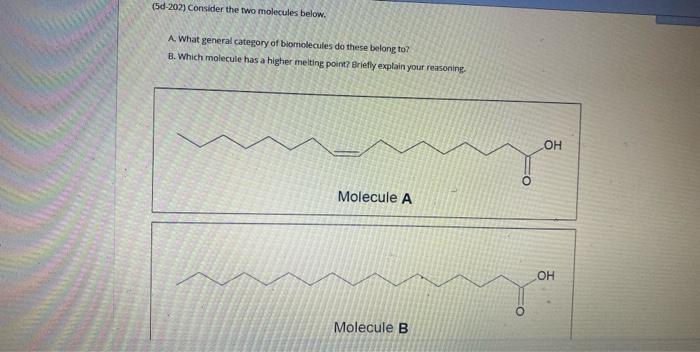 Solved (5d-202) Consider the two molecules below. A. What | Chegg.com