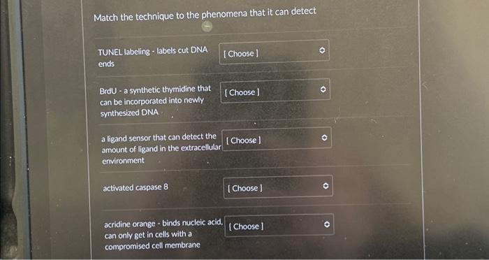 Solved Match the technique to the phenomena that it can | Chegg.com