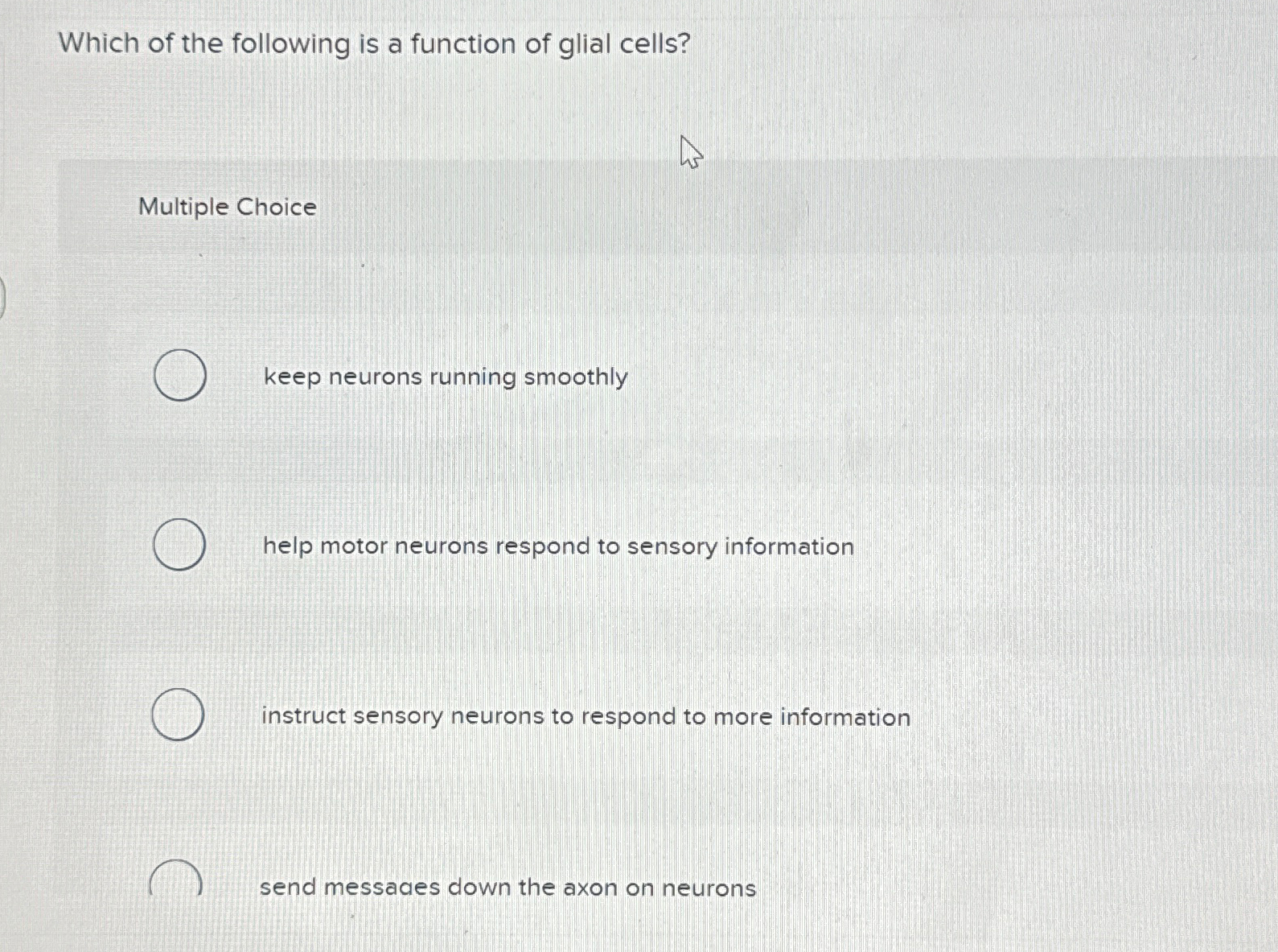 Solved Which of the following is a function of glial | Chegg.com