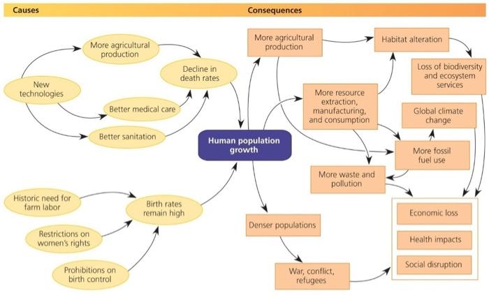 Solved Causes Consequences More agricultural production More | Chegg.com