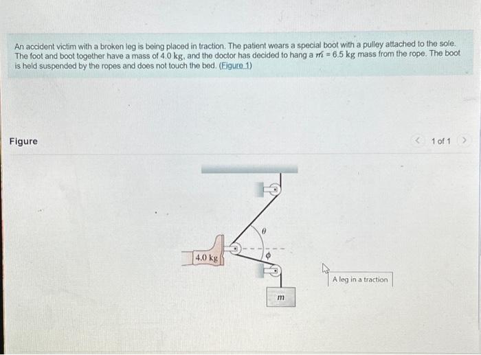 Solved An accident victim with a broken leg is being placed | Chegg.com