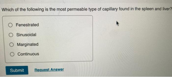 Solved Which of the following is the most permeable type of | Chegg.com