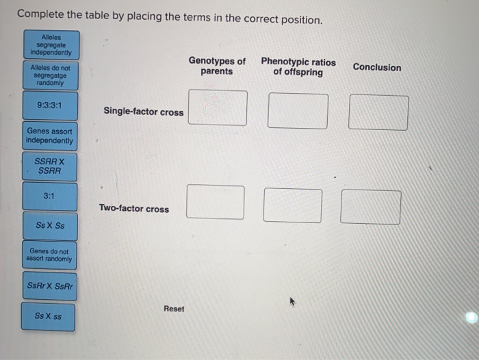 Solved Complete the table by placing the terms in the | Chegg.com