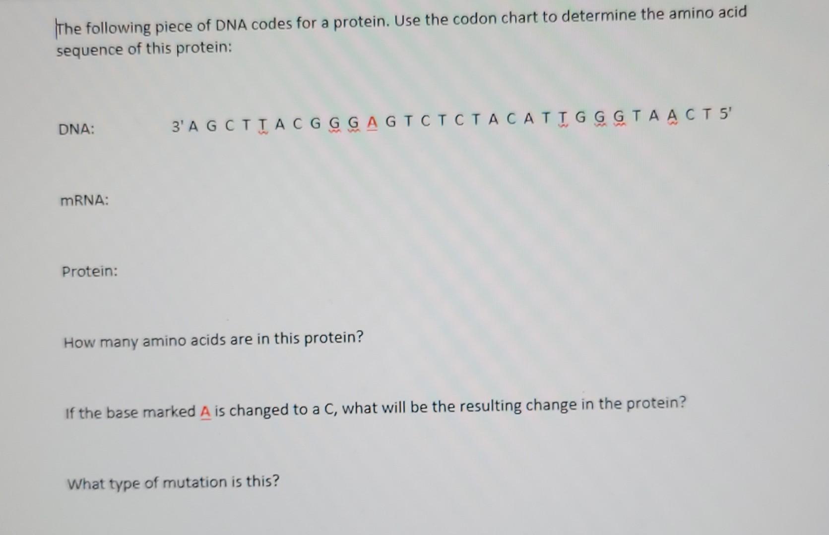 Solved The following piece of DNA codes for a protein. Use | Chegg.com
