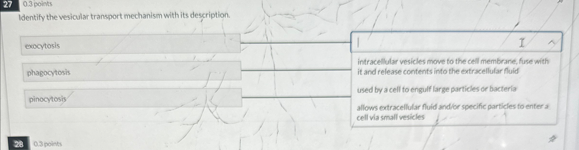 Solved 27 0.3 ﻿pointsIdentify the vesicular transport | Chegg.com