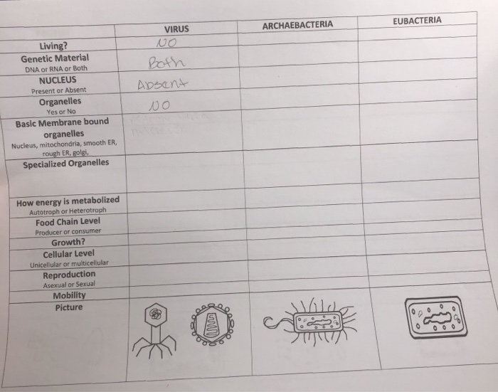 Solved EUBACTERIA ARCHAEBACTERIA VIRUS vo Living? Genetic | Chegg.com