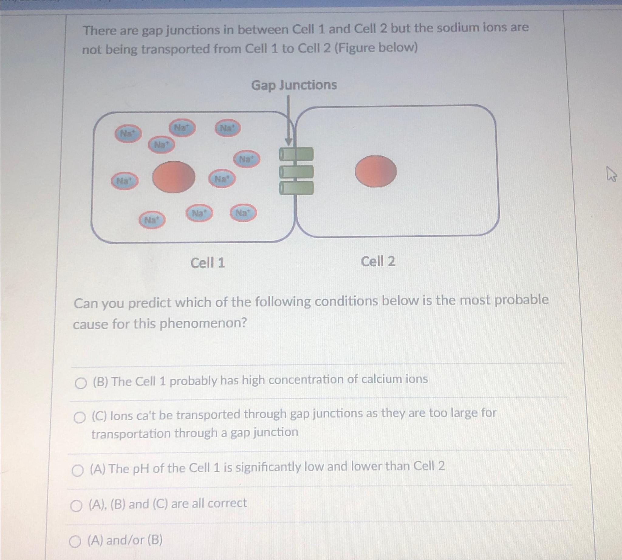 Solved There are gap junctions in between Cell 1 ﻿and Cell 2 | Chegg.com