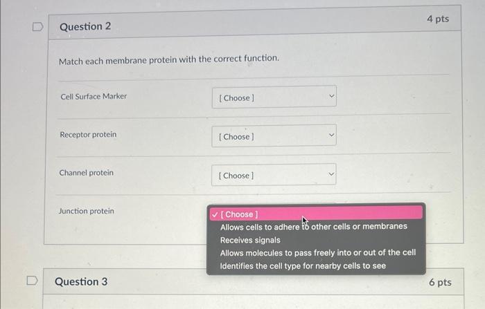 Solved Match each membrane protein with the correct | Chegg.com