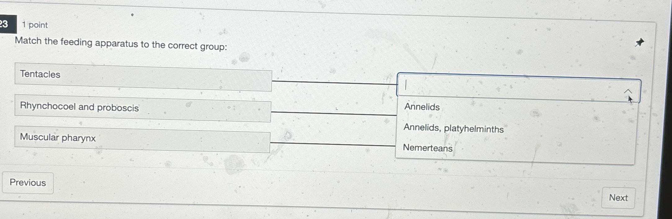 Solved 1 ﻿pointMatch the feeding apparatus to the correct | Chegg.com