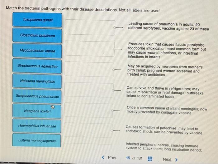 Solved Match the bacterial pathogens with their disease | Chegg.com