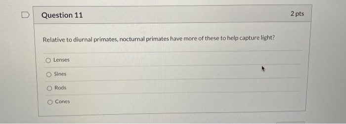 Solved Question 11 2 pts Relative to diurnal primates, | Chegg.com